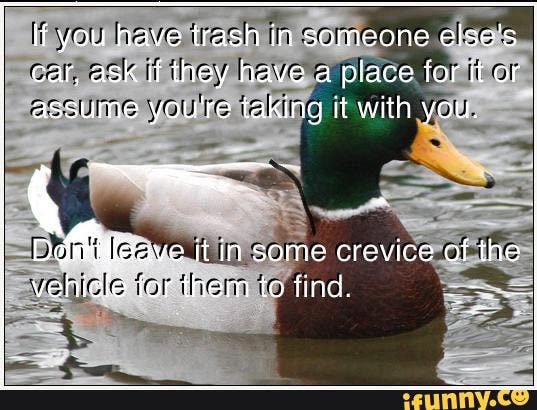 Crevice memes. Best Collection of funny Crevice pictures on iFunny