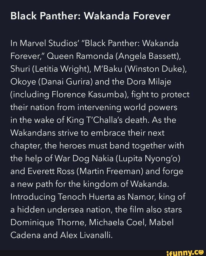 Black Panther: Wakanda Forever In Marvel Studios' "Black Panther ...