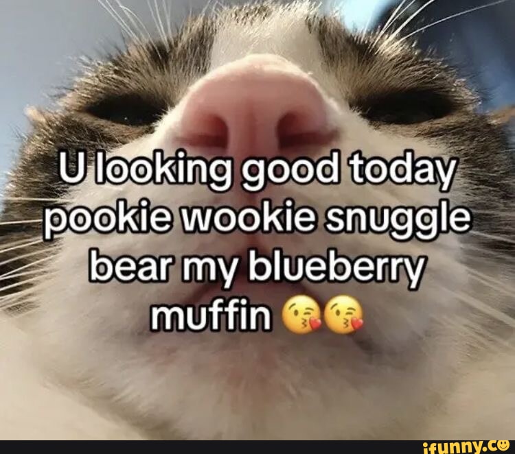 Blueberry memes. Best Collection of funny Blueberry pictures on iFunny