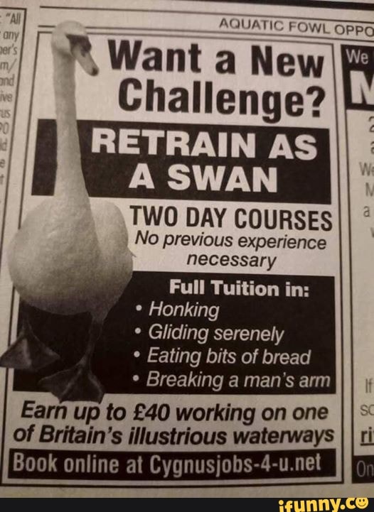 RETRAIN AS I A SWAN TWO DAY COURSES No previous experience necessary ...