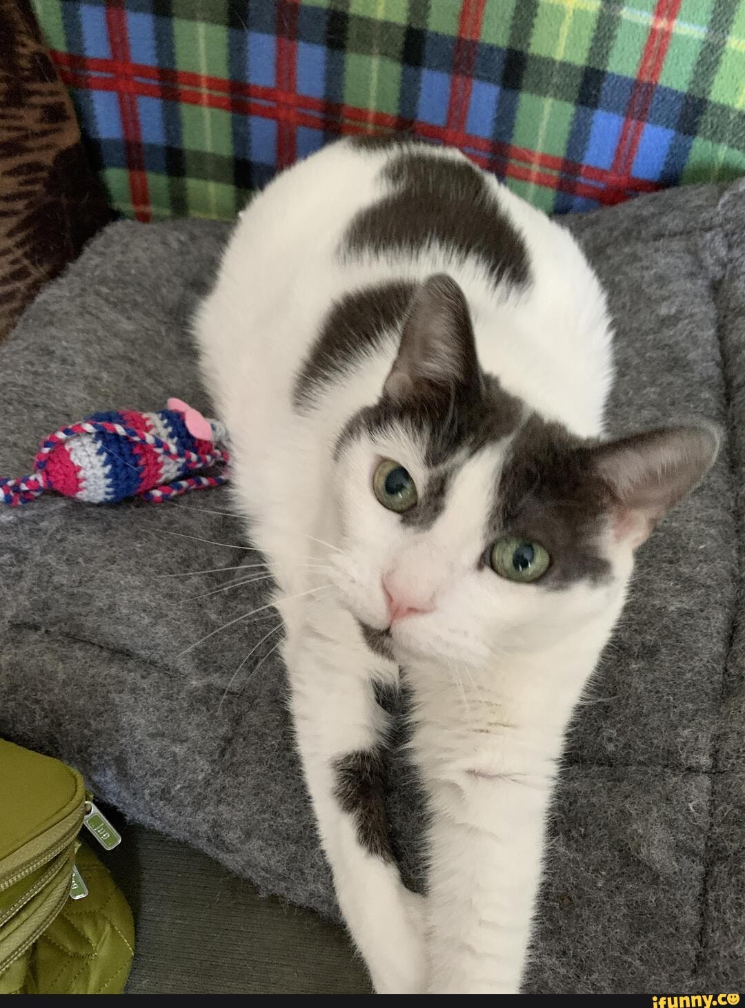 Frenemy memes. Best Collection of funny Frenemy pictures on iFunny