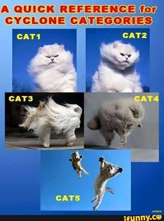 Cyclone memes. Best Collection of funny Cyclone pictures on iFunny