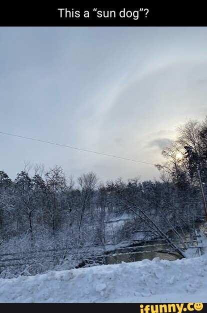 This a "sun dog - iFunny