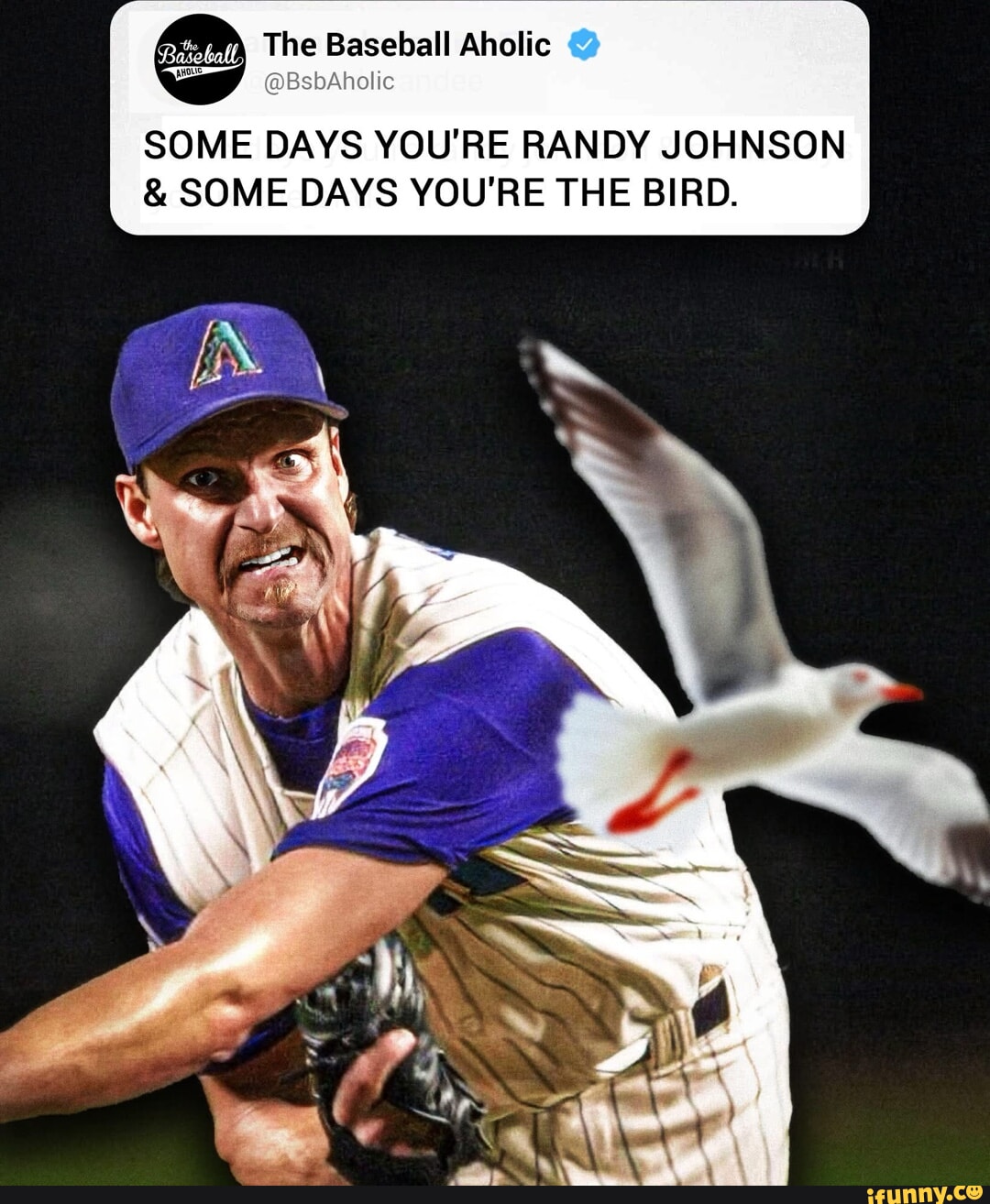 The Baseball Aholic SOME DAYS YOU'RE RANDY JOHNSON & SOME DAYS YOU'RE ...