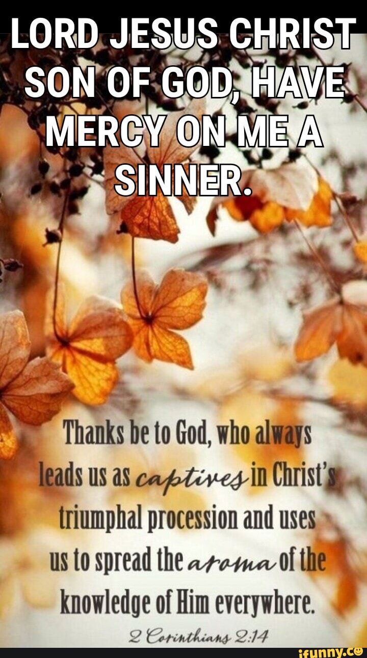 Aroma memes. Best Collection of funny Aroma pictures on iFunny