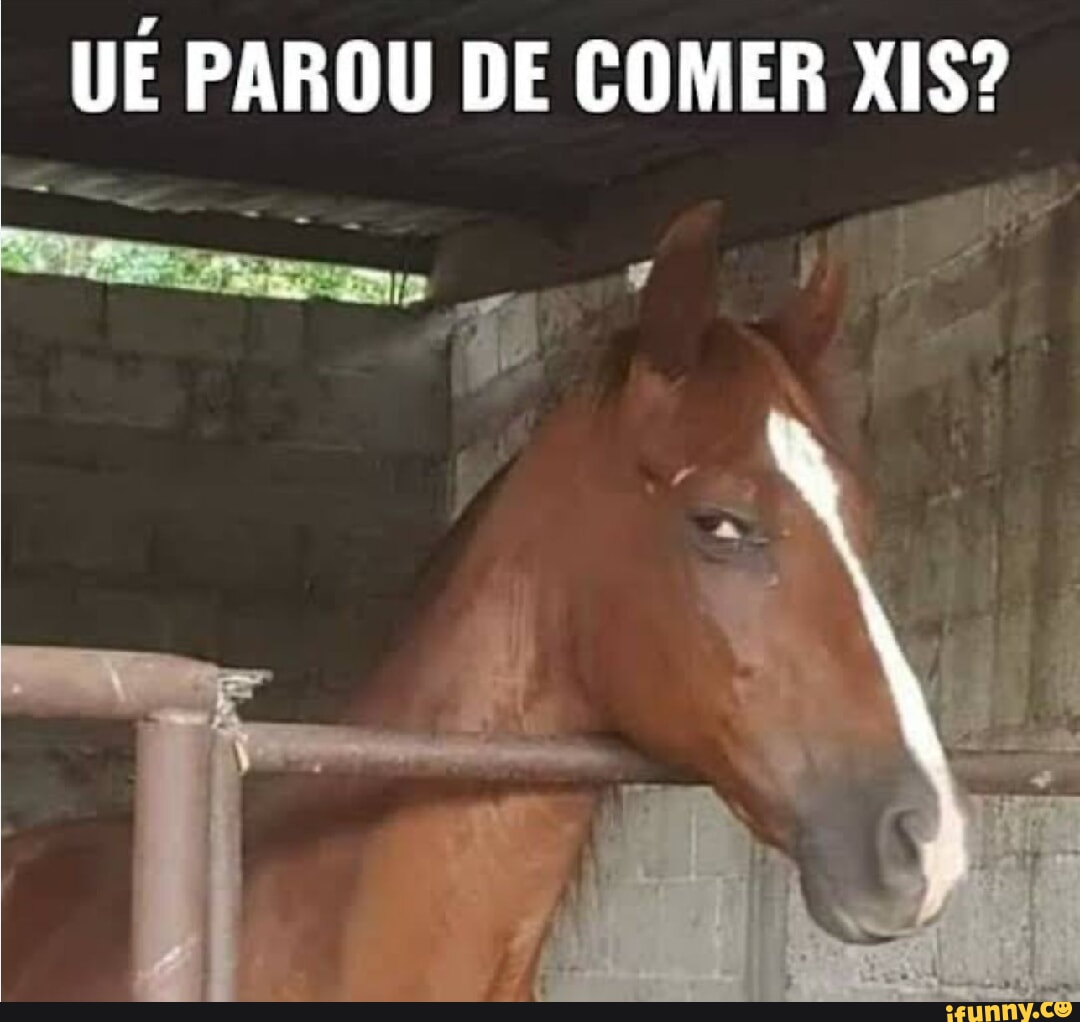 Parou memes. Best Collection of funny Parou pictures on iFunny