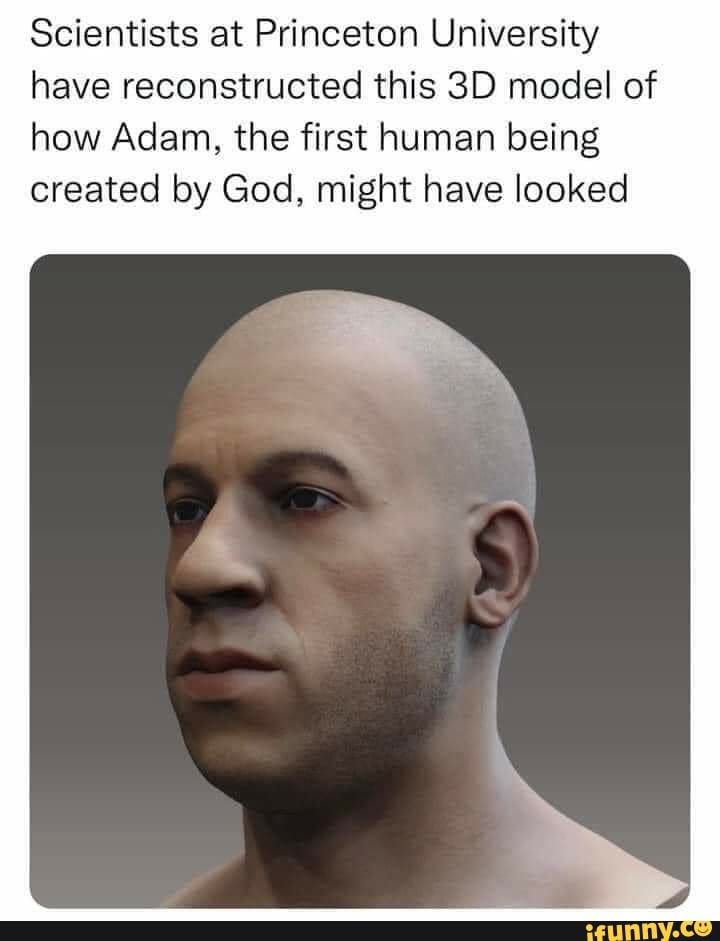 Scientists at Princeton University have reconstructed this model of how ...