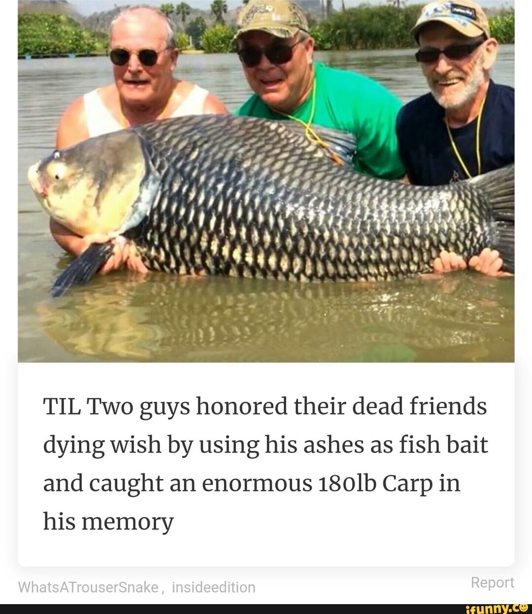 Picture memes nBgyfgd1B by bordem41 - iFunny