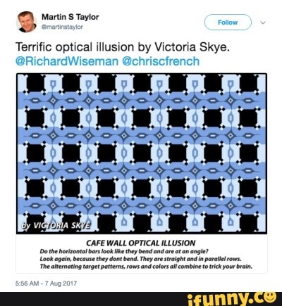 Martin Taylor Terrific optical illusion by Victoria Skye. - iFunny
