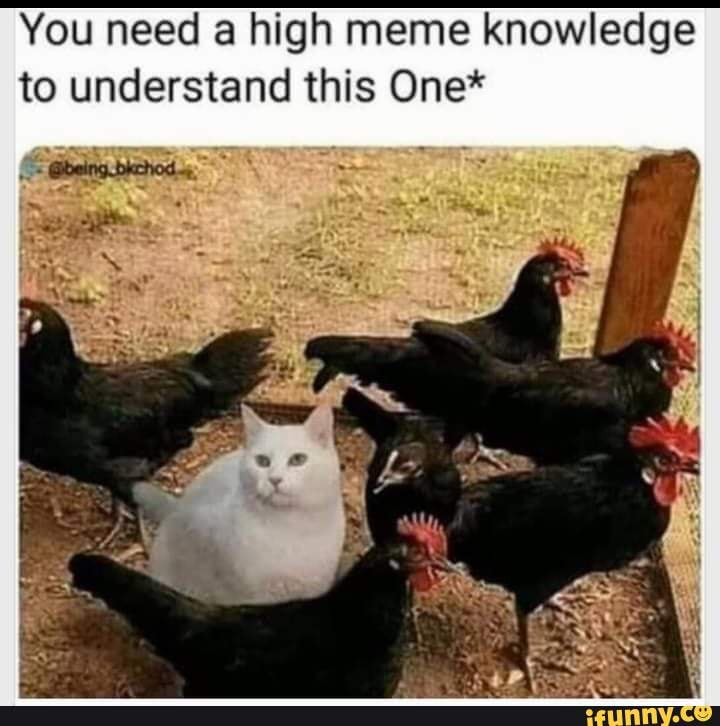 You need a high meme knowledge to understand this One* - iFunny