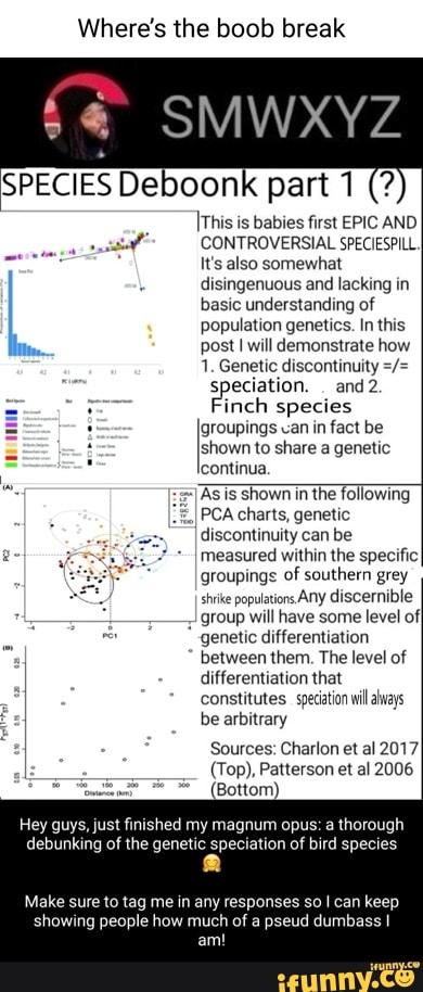 Smwxyz memes. Best Collection of funny Smwxyz pictures on iFunny