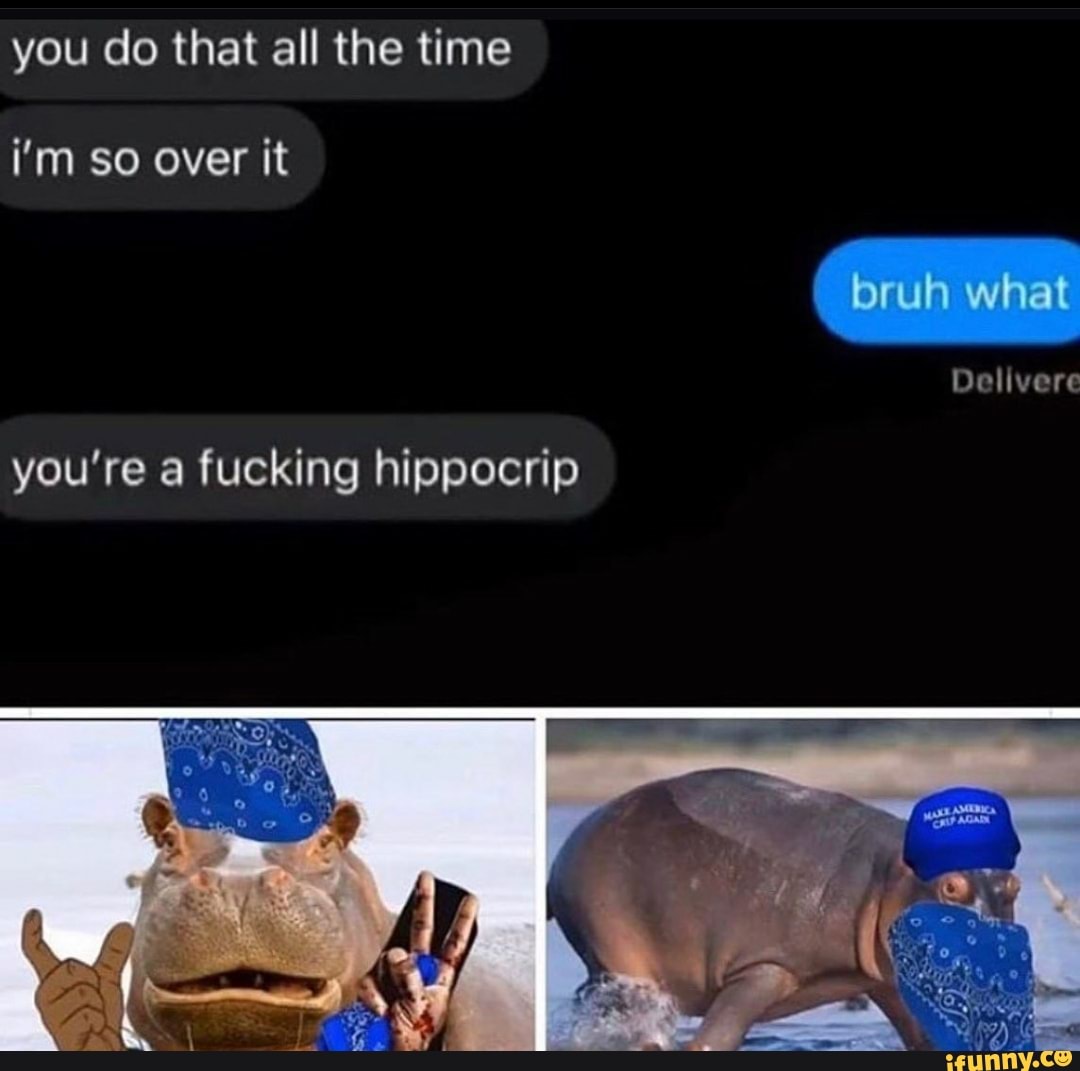 Hippocrip memes. Best Collection of funny Hippocrip pictures on iFunny