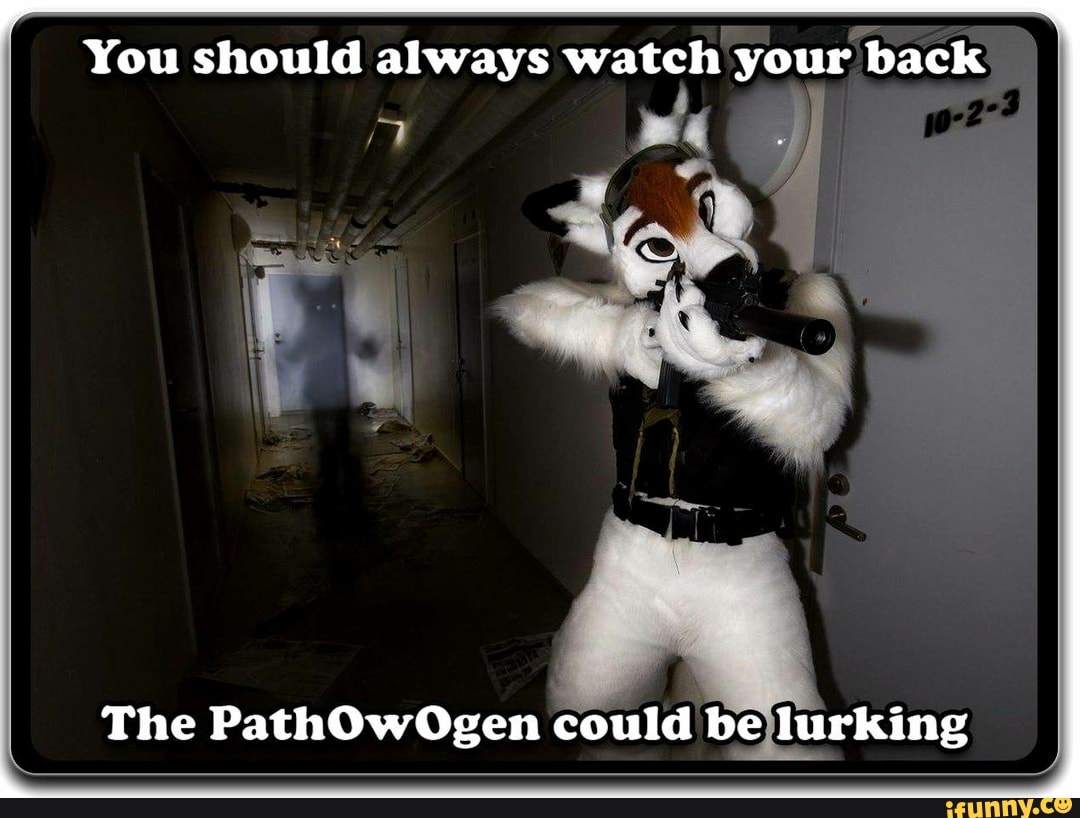 Pathowogen memes. Best Collection of funny Pathowogen pictures on iFunny