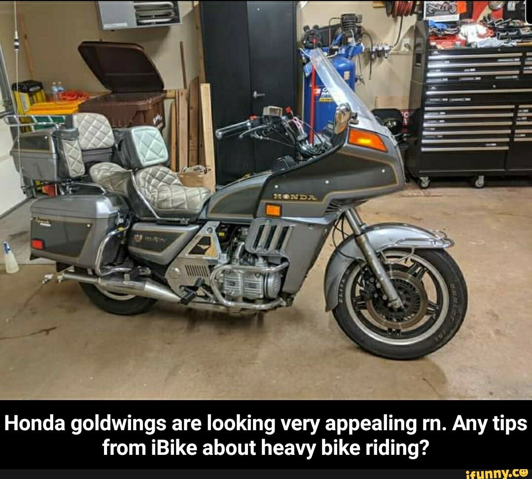 Goldwings memes. Best Collection of funny Goldwings pictures on iFunny