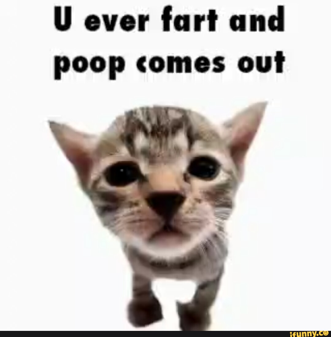 U ever fart and poop comes out - iFunny