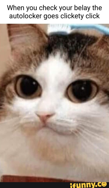 Clickety memes. Best Collection of funny Clickety pictures on iFunny