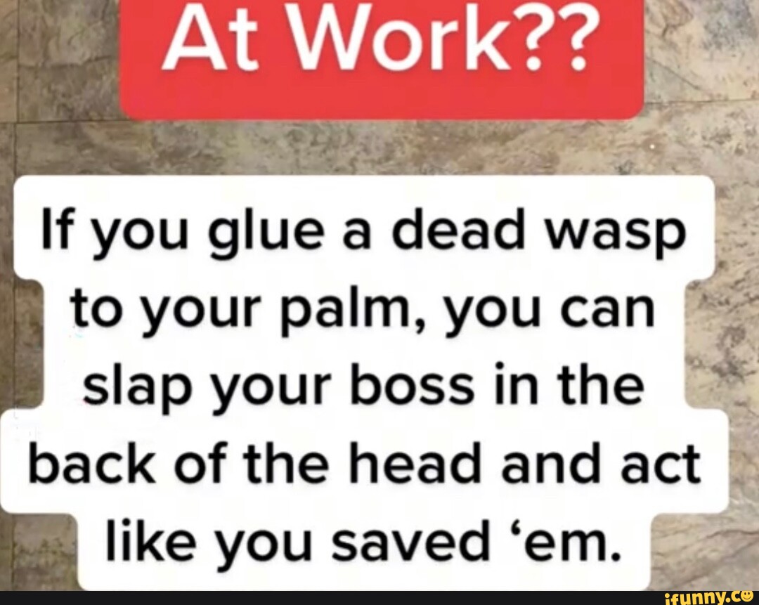 At Work?? If you glue a dead wasp to your palm, you can slap your boss ...