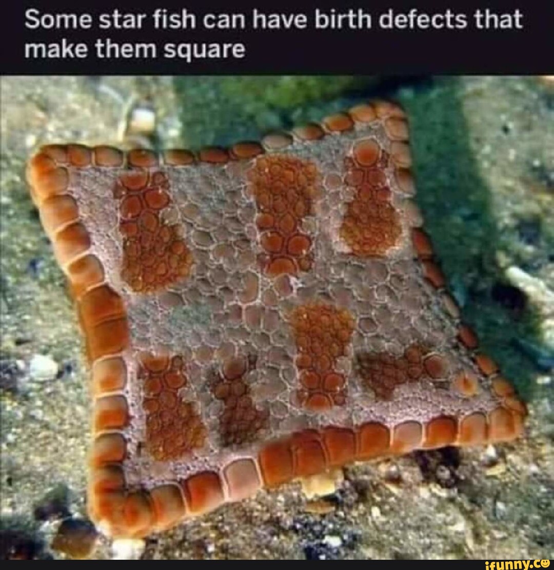 Picture memes iEkSvHMQ6 by DarkAnime_: 338 comments - iFunny