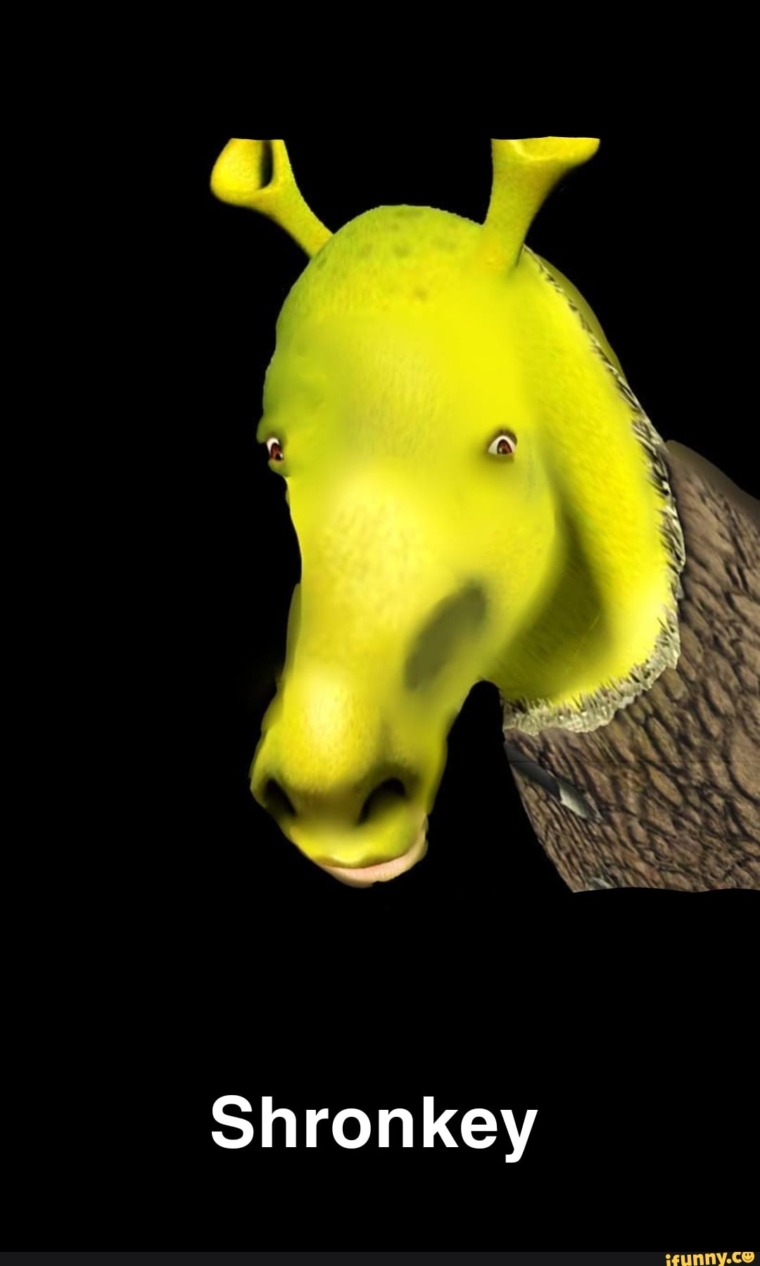 Shronkey memes. Best Collection of funny Shronkey pictures on iFunny