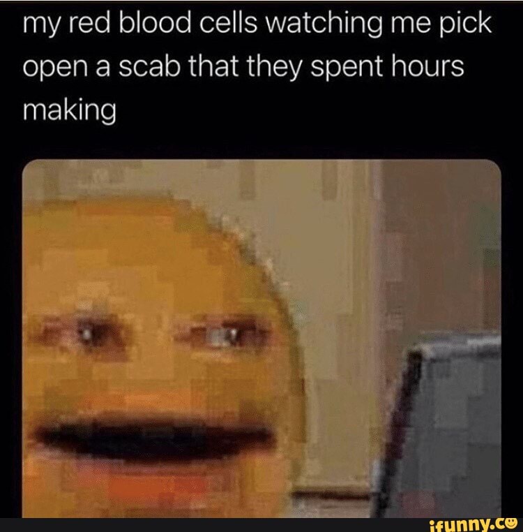 My red blood cells watching me pick open a scab that they spent hours ...