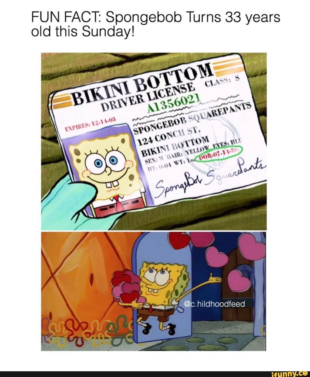Fun Spongebob Facts