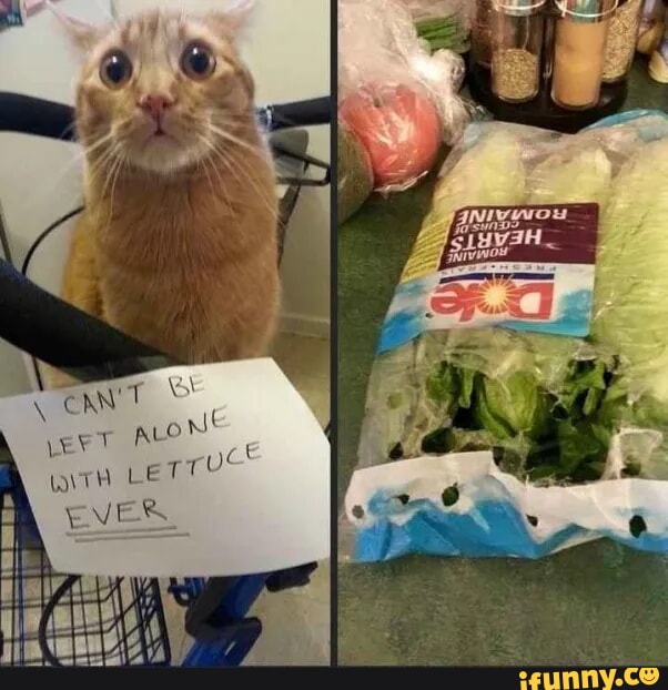 Top 5 Soviet Leaders Ranked By Their Eyebrows 1. Brezhnev 2. There is ...