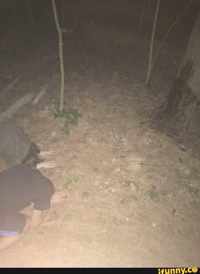 Cursed_prayer memes. Best Collection of funny Cursed_prayer pictures on ...