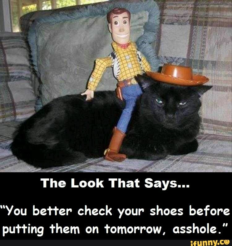 The Look That Says... You better check your shoes before putting them ...
