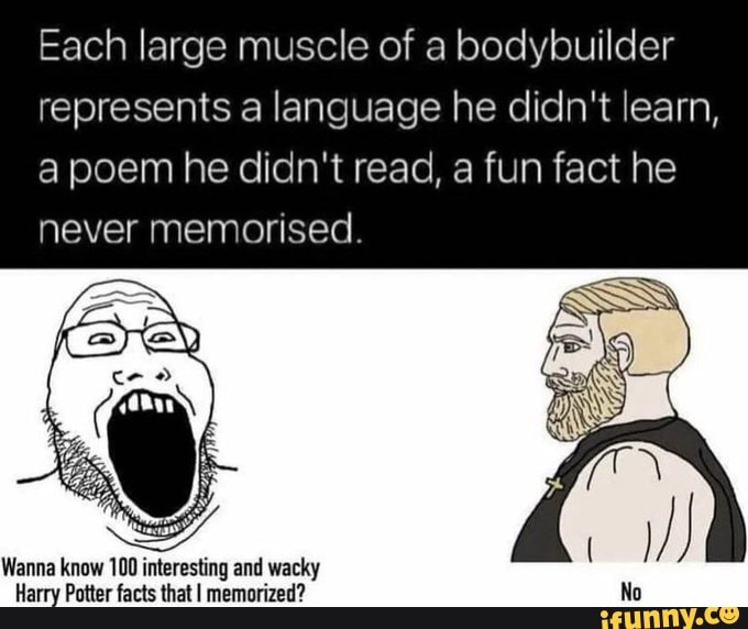 Each large muscle of a bodybuilder represents a language he didn't ...
