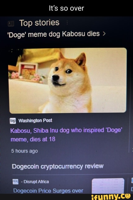 It's so over Top stories 'Doge' meme dog Kabosu dies > washington Post Kabosu, Shiba Inu dog who ...