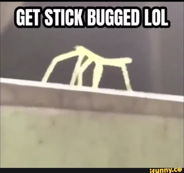 GET STICK BUGGED LOL Or - iFunny