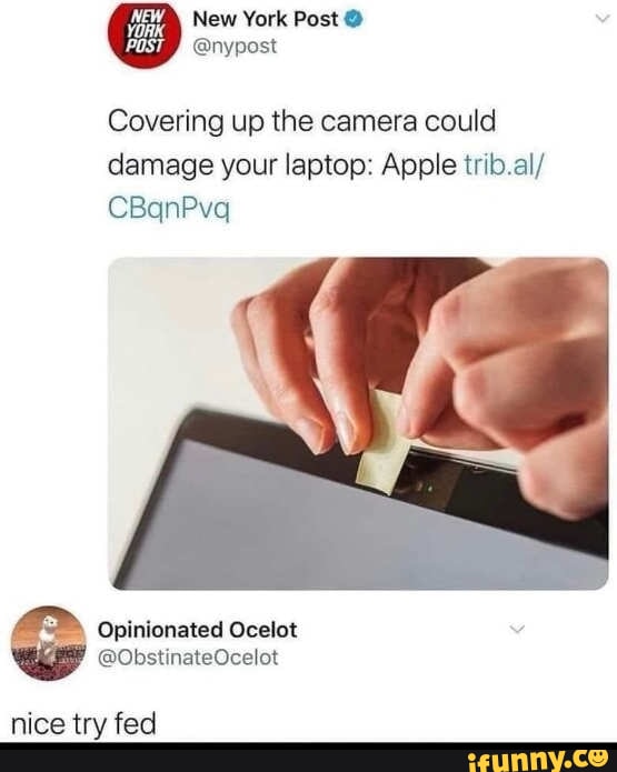 Ocelot memes. Best Collection of funny Ocelot pictures on iFunny