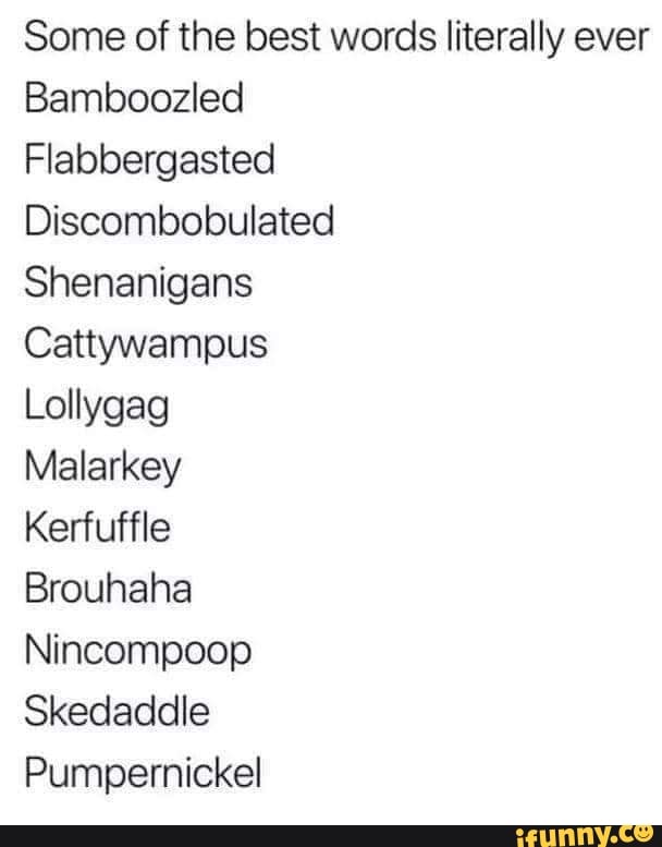 Nincompoop memes. Best Collection of funny Nincompoop pictures on iFunny