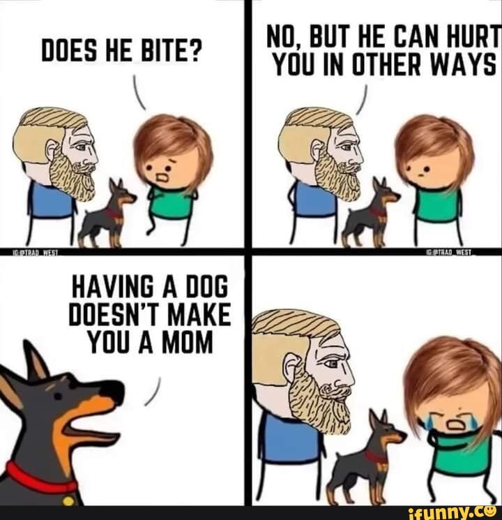 Picture memes RXHpv3408 by EmpressMercury: 1 comment - iFunny