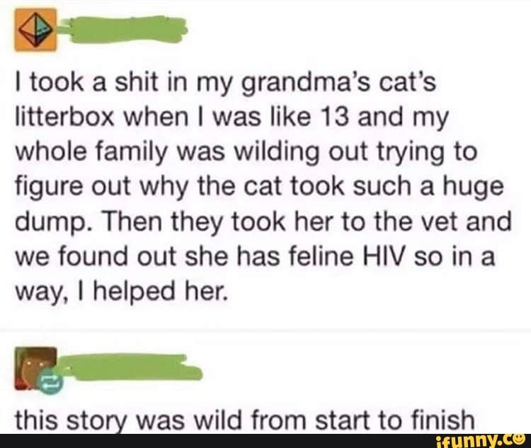 L- I took a shit in my grandma's cat's litterbox when I was like 13 and ...
