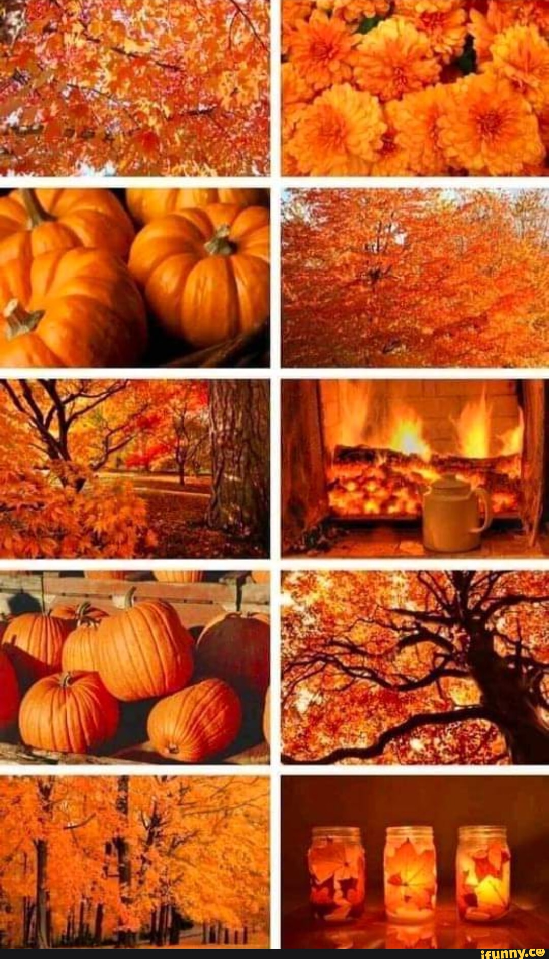 Fall memes. Best Collection of funny Fall pictures on iFunny