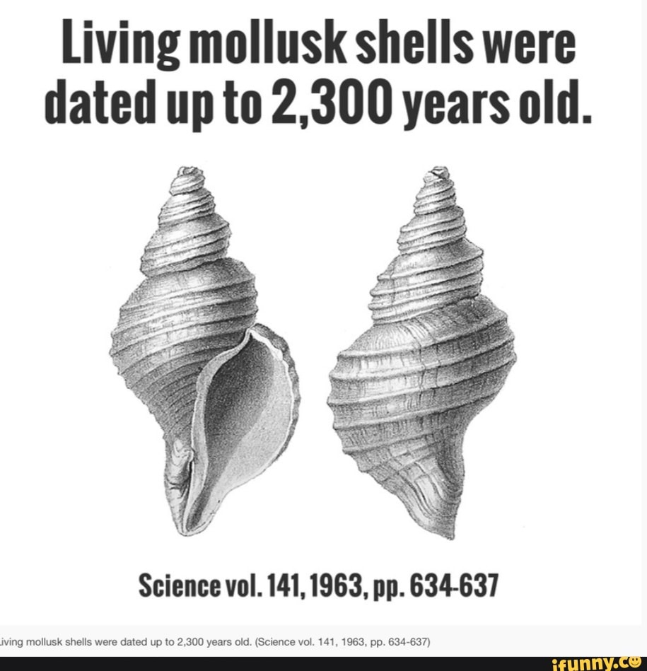 Mollusk memes. Best Collection of funny Mollusk pictures on iFunny