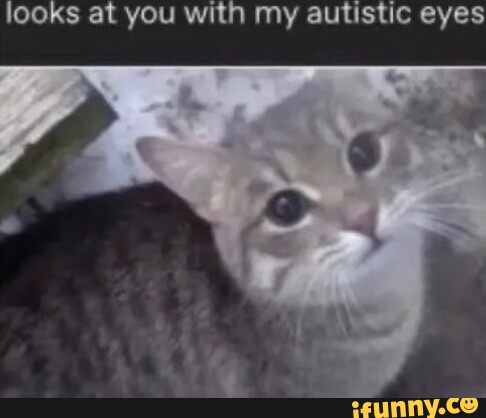 Looks at you with my autistic eyes - iFunny