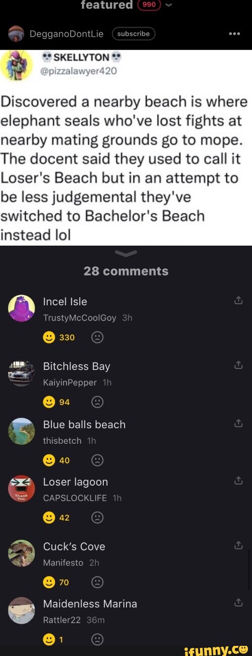 Docent memes. Best Collection of funny Docent pictures on iFunny