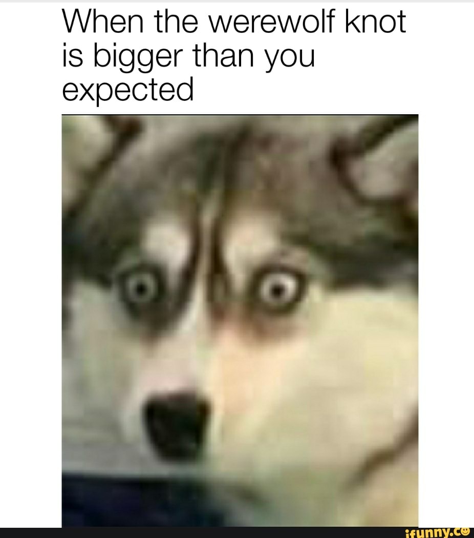 When the werewolf knot is bigger than you expected - iFunny