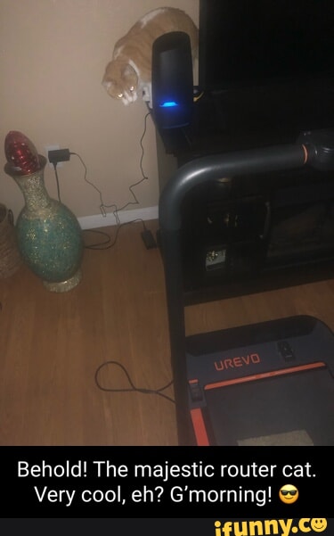 Router memes. Best Collection of funny Router pictures on iFunny