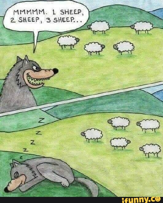Sheep memes. Best Collection of funny Sheep pictures on iFunny