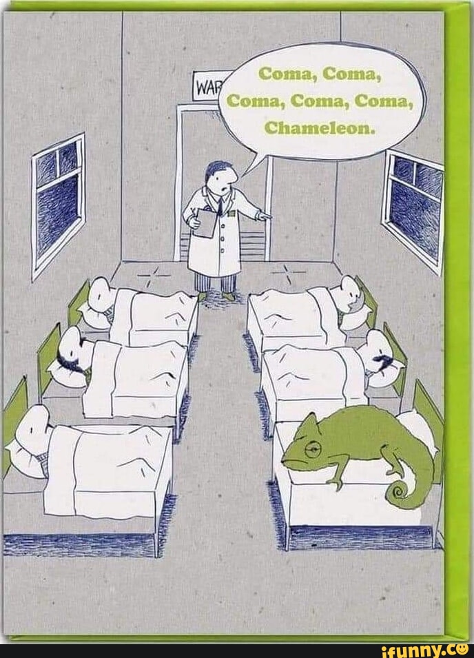 Cona, Coma, I Chameleon - iFunny