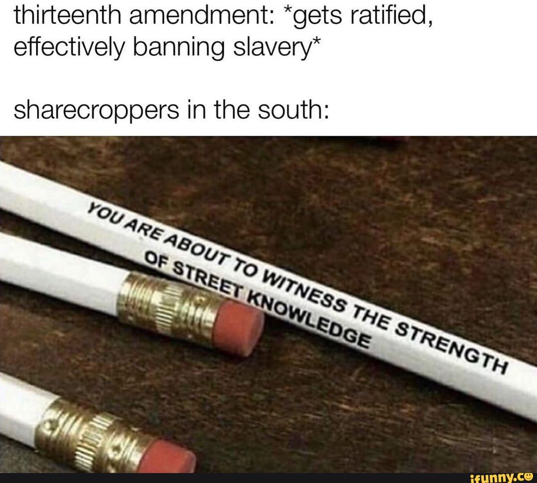 Thirteenth amendment: *gets ratified, effectively banning slavery ...