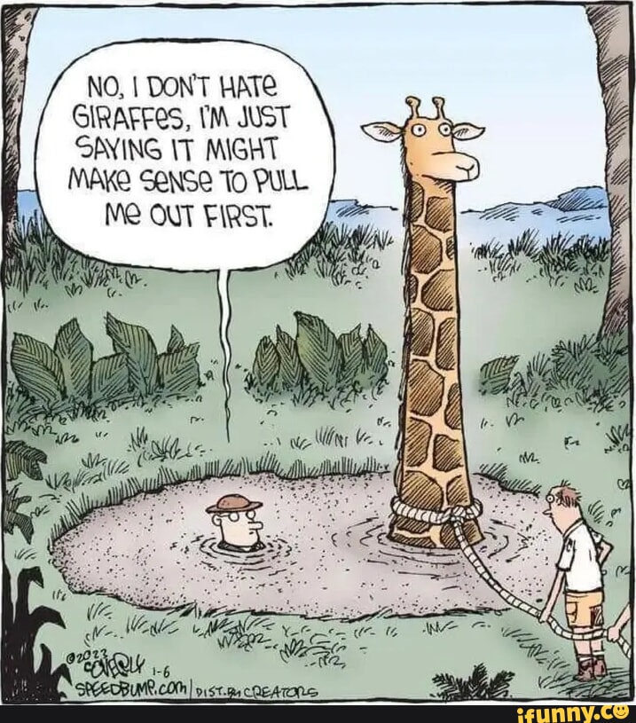 NO, I CONT HAT GIRAFFS, JUST SAYING IT MIGHT MAKE SENSE To PULL Me OUT ...