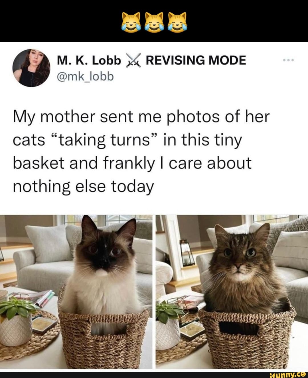 Basket memes. Best Collection of funny Basket pictures on iFunny