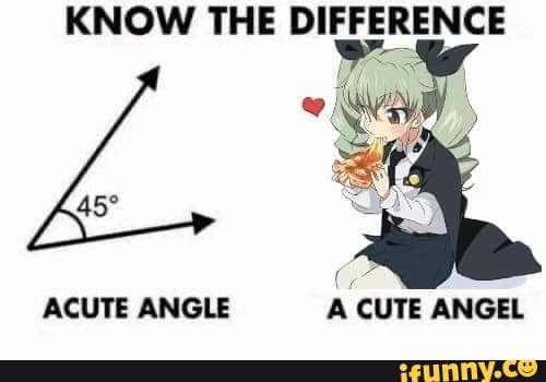 KNOW THE DIFFERENCE ACUTE ANGLE A CUTE ANGEL - iFunny