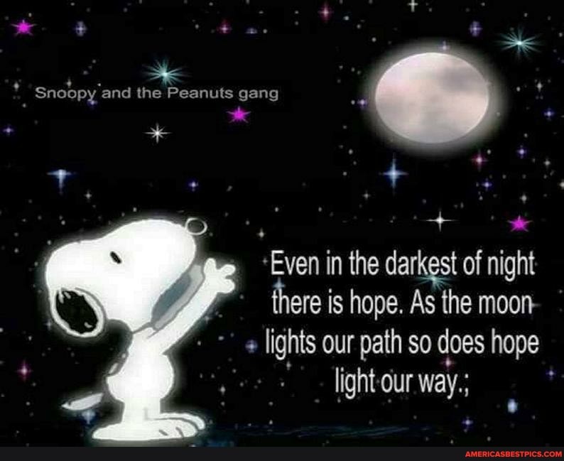 Me : Snoopy and the Peanuts gang 'Even in the darkest of night there is ...