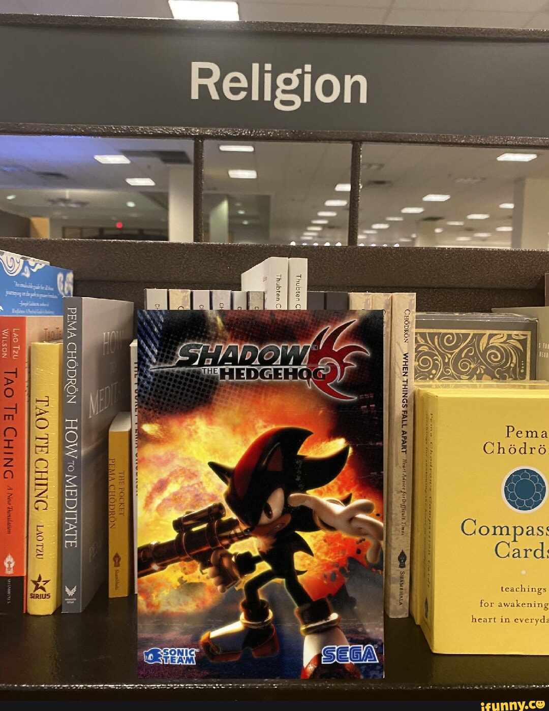 Pema memes. Best Collection of funny Pema pictures on iFunny