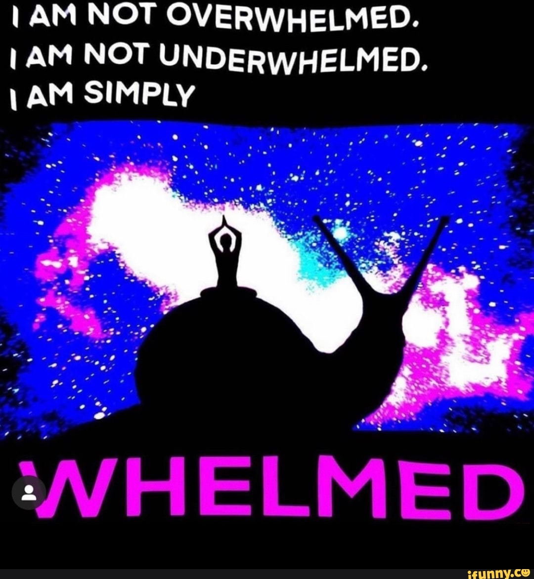 AM NOT OVERWHELMED. AM NOT UNDERWHELMED. AM SIMPLY 3WHELMED - iFunny